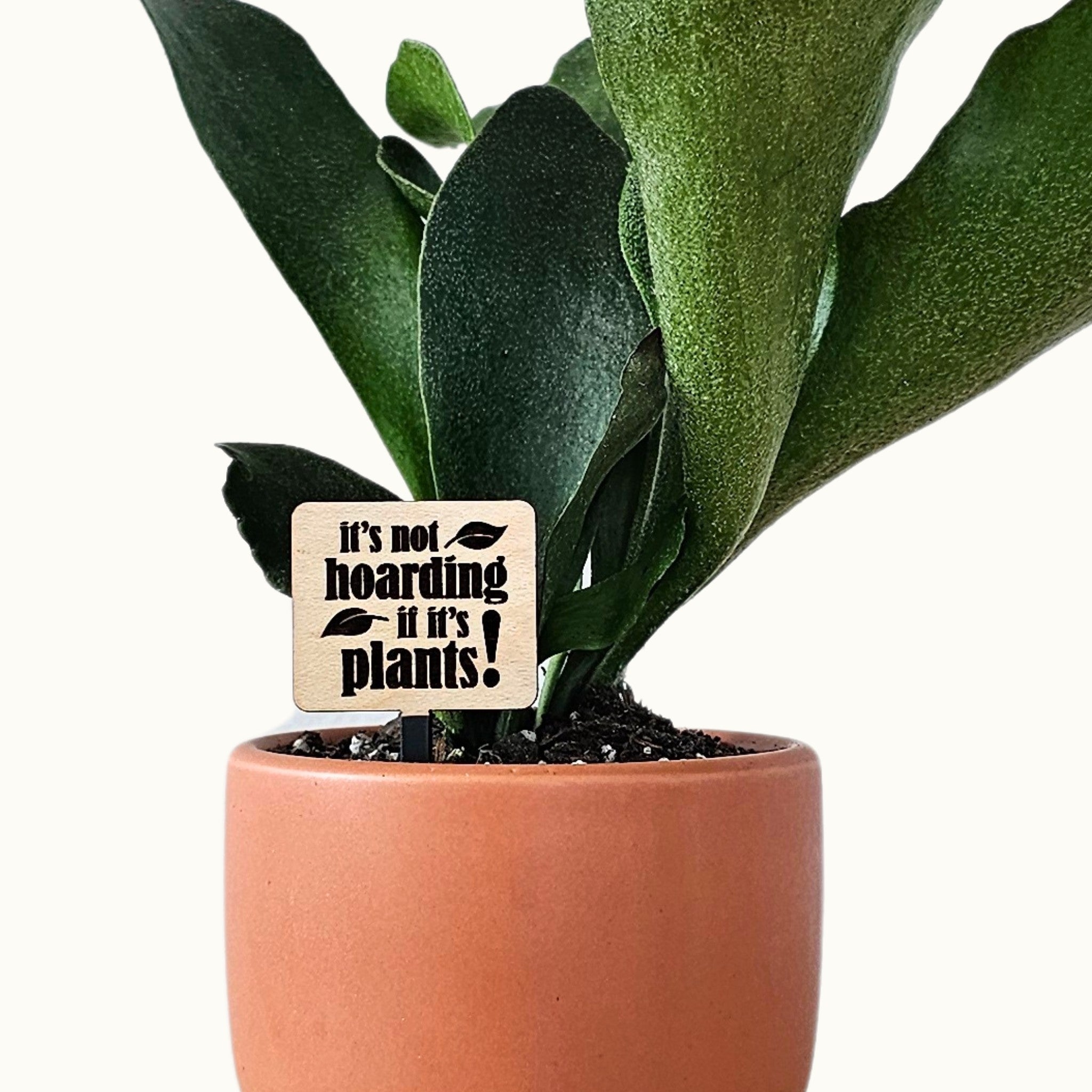 Indoor Plant Accessories & Gifts for Plant Lovers - Funny Plant Sayings ...