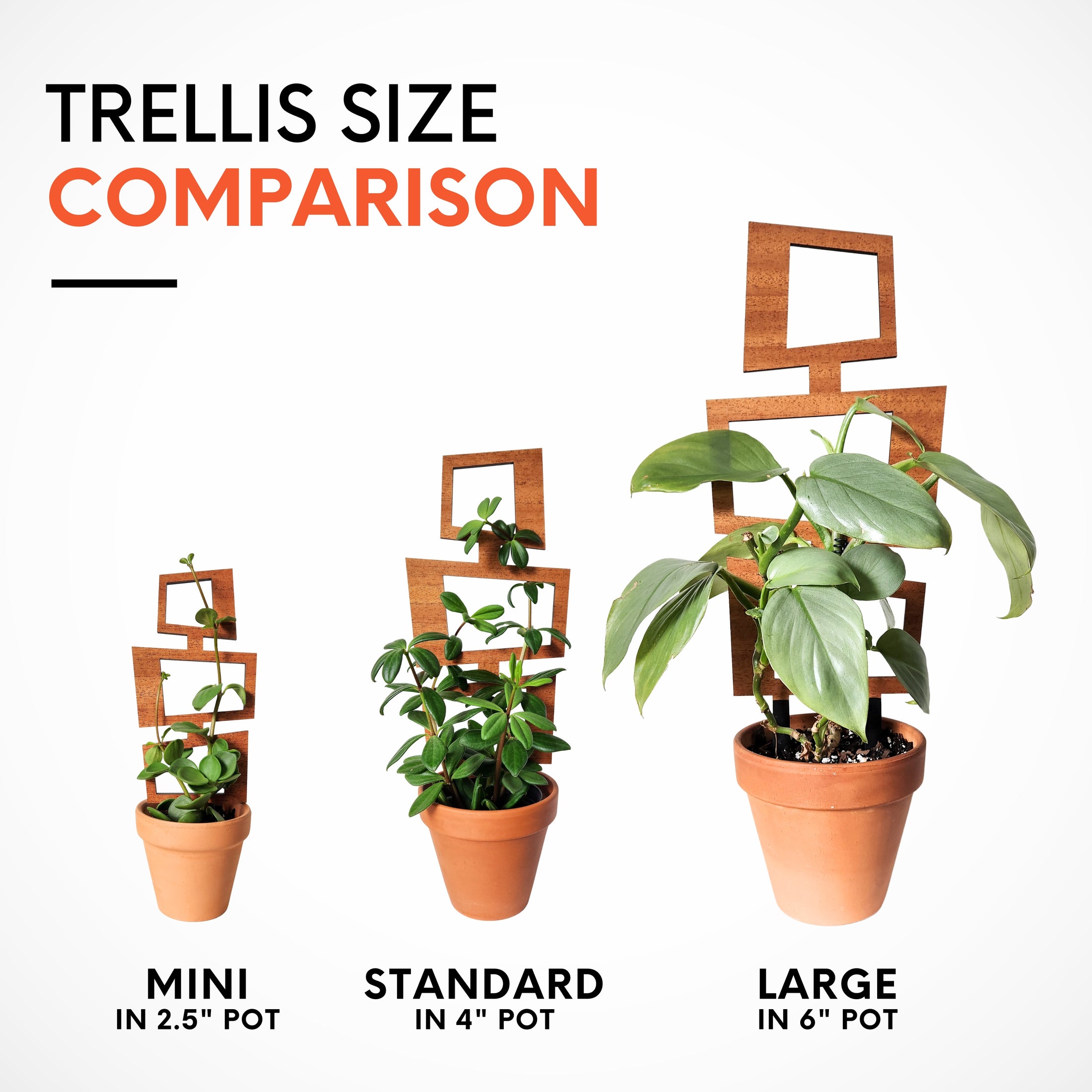 Indoor Plant Trellis – Mid Century Modern Design – Plant Décor & Gifts ...