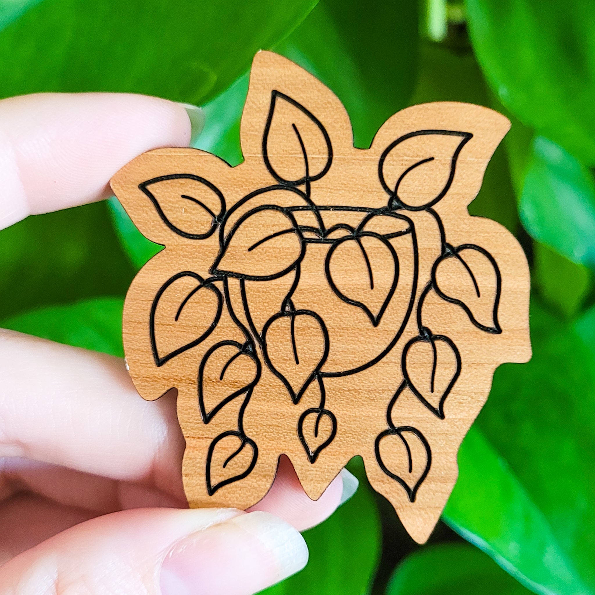 Plant Magnets - Set of 4 Common Houseplants - Plant Décor & Gift Idea ...