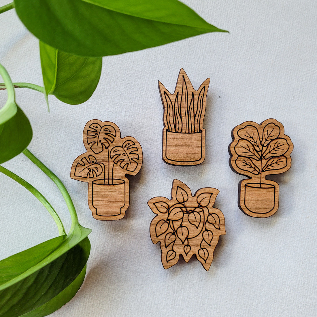 Plant Magnets - Set of 4 Common Houseplants - Plant Décor & Gift Idea ...